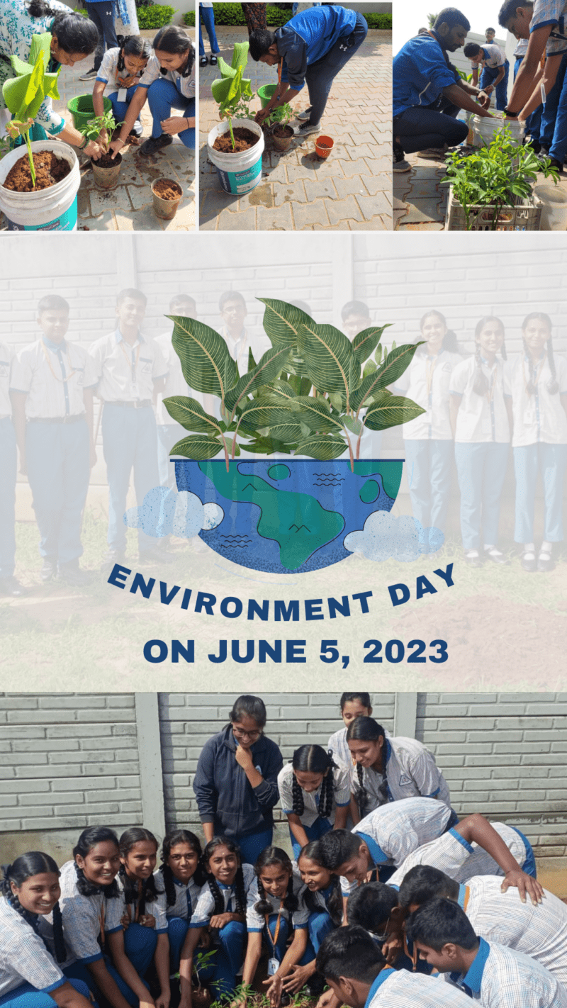 Environment Day - Endeavour Academy
